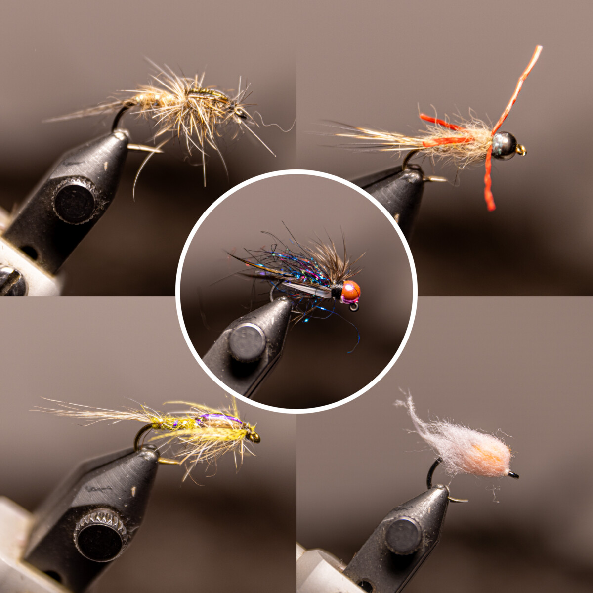 Fall and Winter Steelhead on the Fly | Live 2 Fish