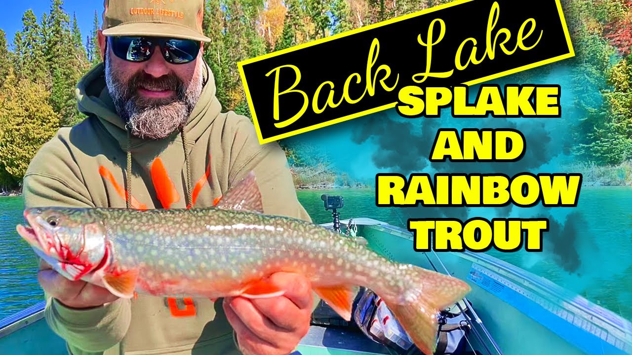 Back Lake Splake and Rainbow Trout | Live 2 Fish